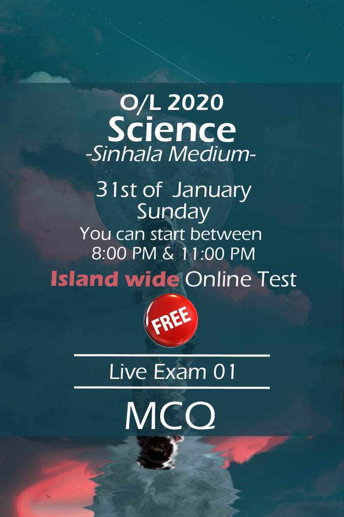 ETEST – An online examination platform